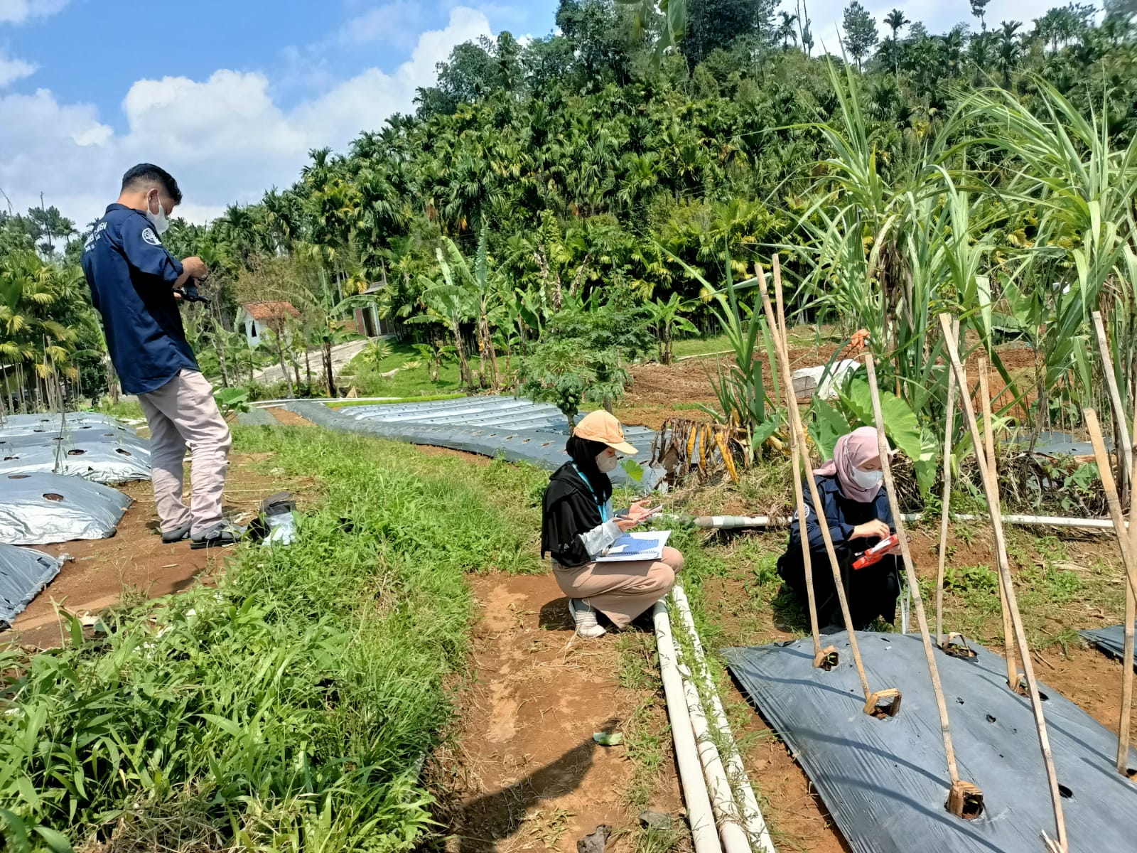 Petani Program Desa Digital Jadi Direktur Utama Pertanian Modern ...