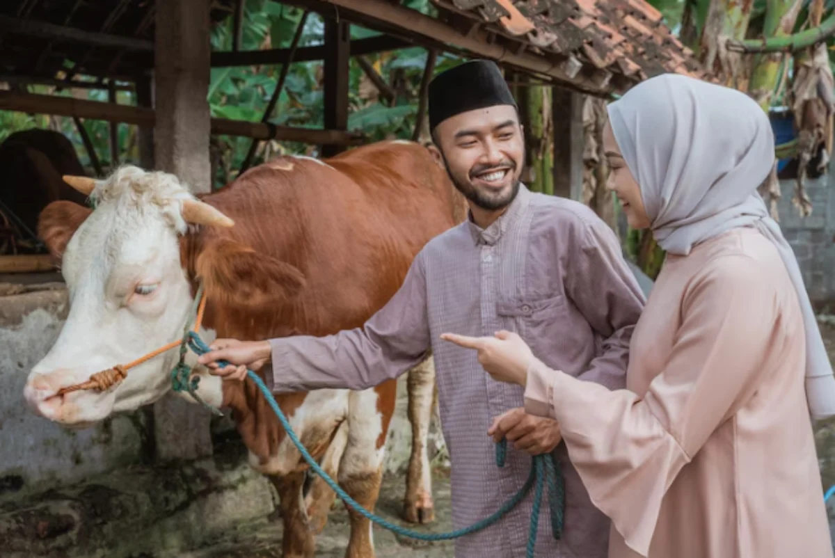 Tips Merawat dan Memilih Hewan Qurban Sebelum Hari Raya – Cianjur Ekspres