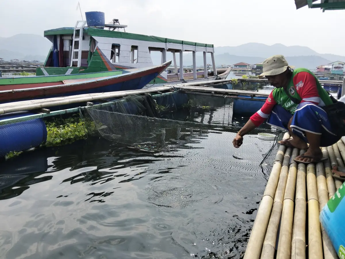 Pernyataan Menteri KKP Bikin Petani Ikan di Waduk Cirata Murka – Laman ...