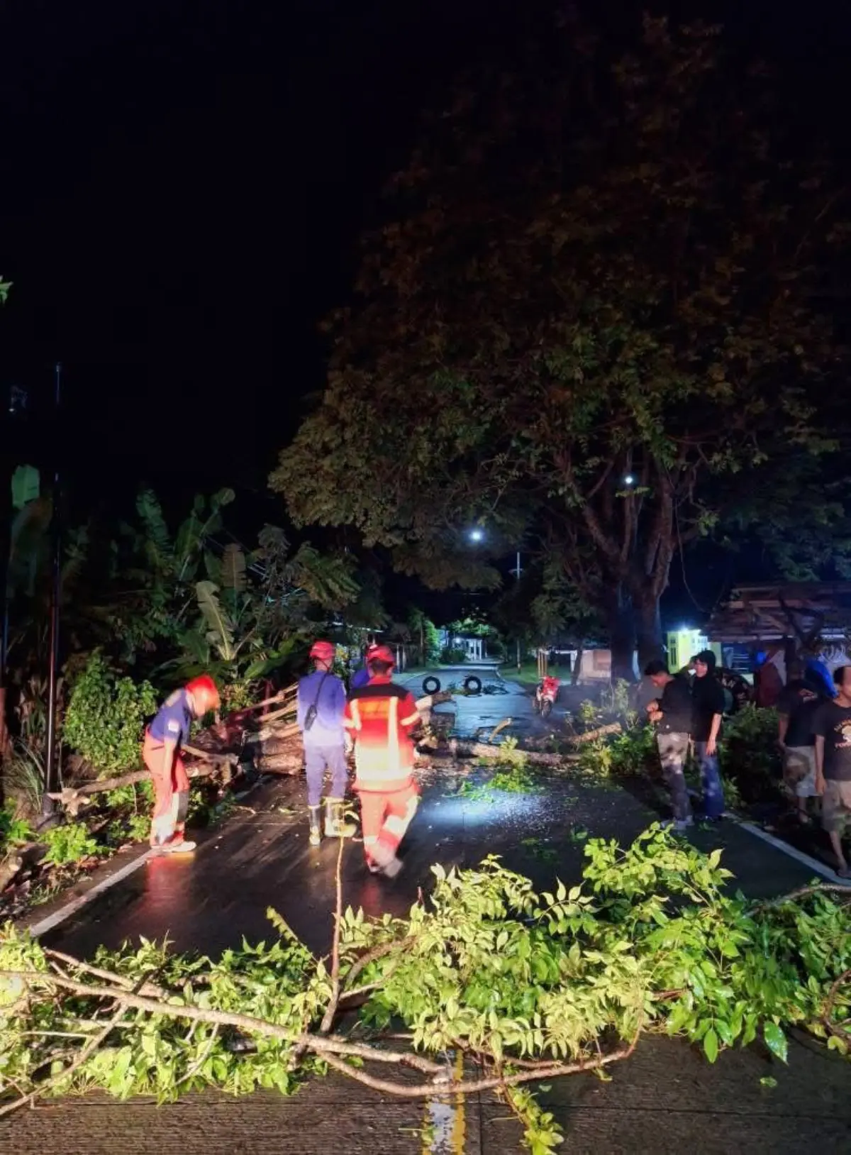 Jalur Cidaun – Sindangbarang Sempat Tertutup Pohon Tumbang, Kini Sudah ...