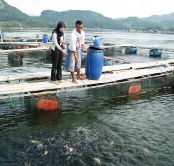 Produksi Ikan Cirata Menurun – jabarekspres.com