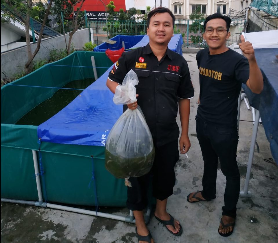 Mau Memulai Bisnis Budidaya Ikan Lele? Begini Caranya! – jabarekspres.com