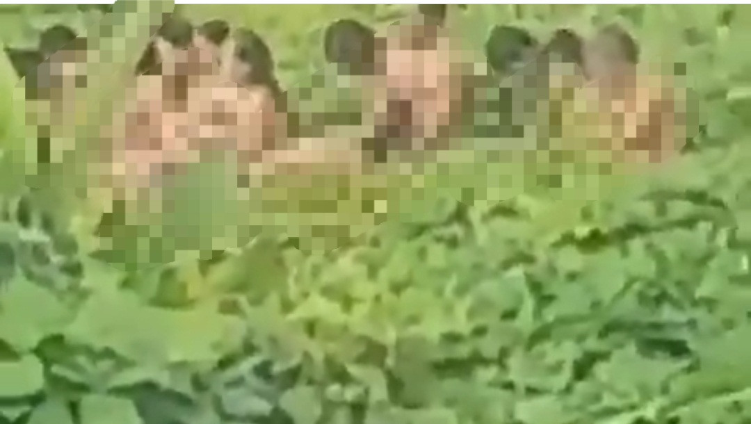 Dari Mandi Bareng Tanpa Busana Hingga Modus Penipuan, Inilah 6 Fakta ...