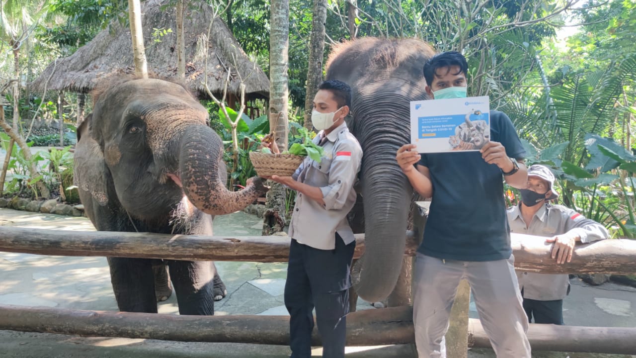 Filantra Bantu Pasokan Makanan untuk Bandung Zoo – jabarekspres.com