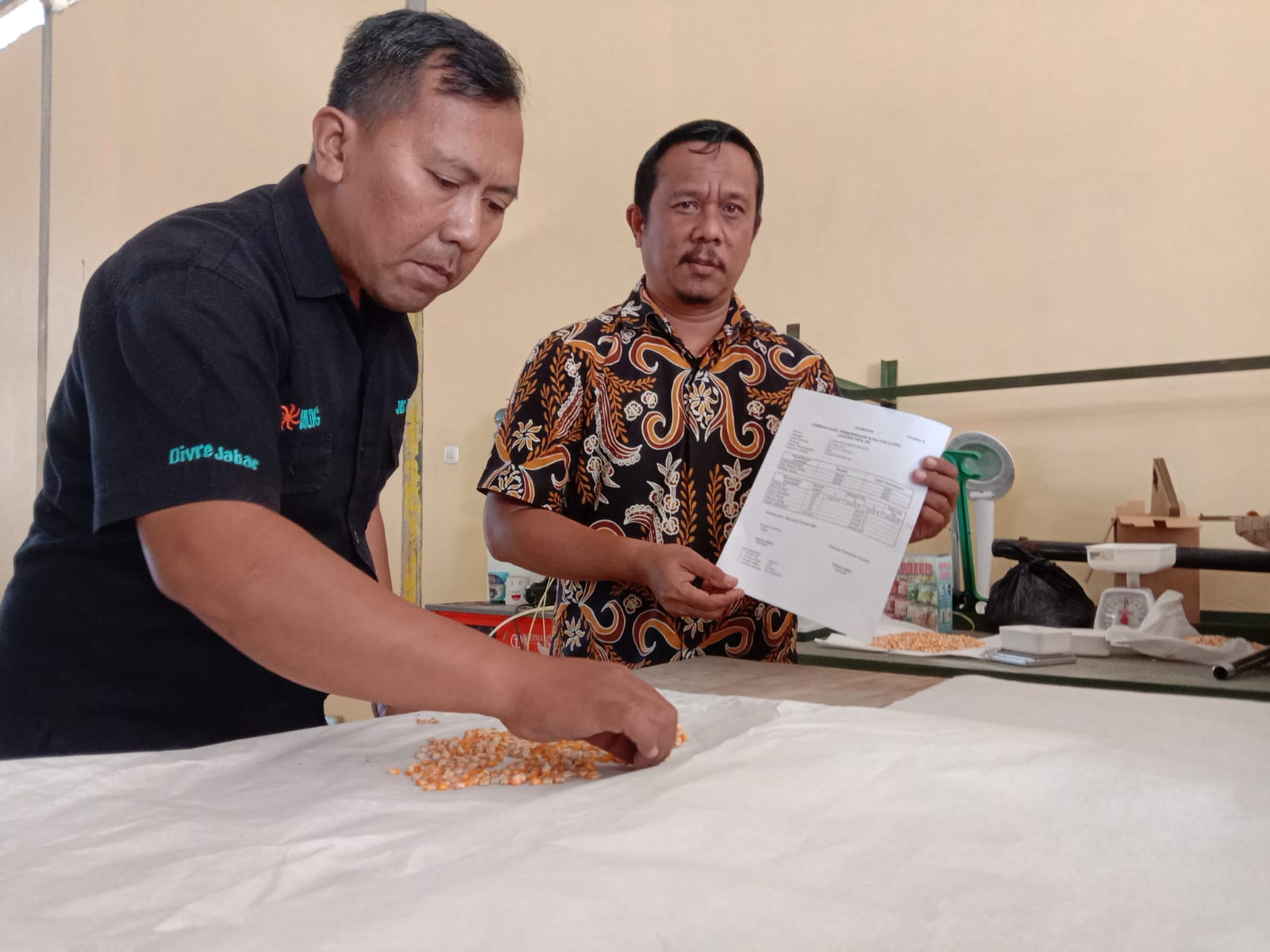 Turunkan Harga Telur, Pemerintah Distribusikan Ratusan Ton Jagung ...