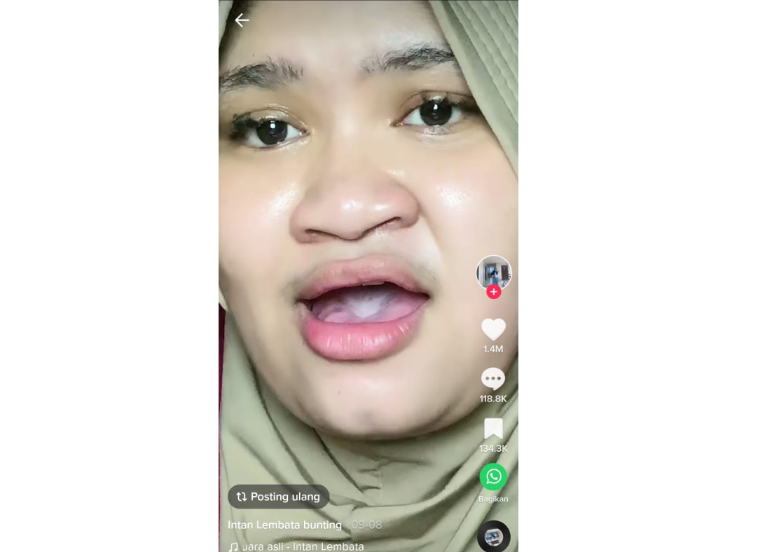 Viral TikTok Begitu Sulit Lupakan Rehan, Ini Lagu Asli dan Liriknya ...