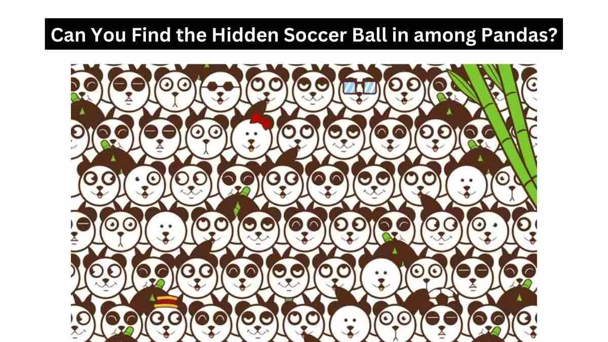 Tes IQ Gambar: Coba Temukan Bola Sepak yang Tersembunyi di Antara Panda ...