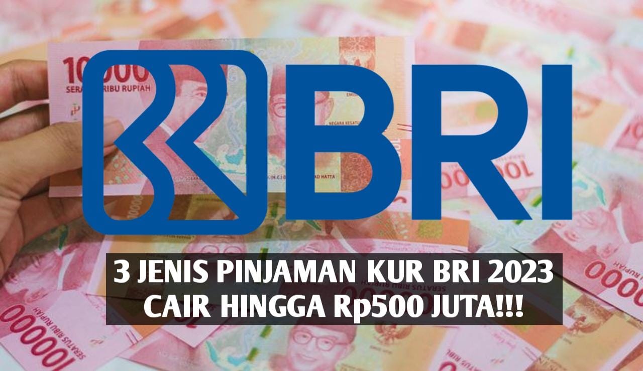3 Jenis Pinjaman KUR BRI 2023, Modal KTP dan KK Cair Hingga Rp500 Juta ...