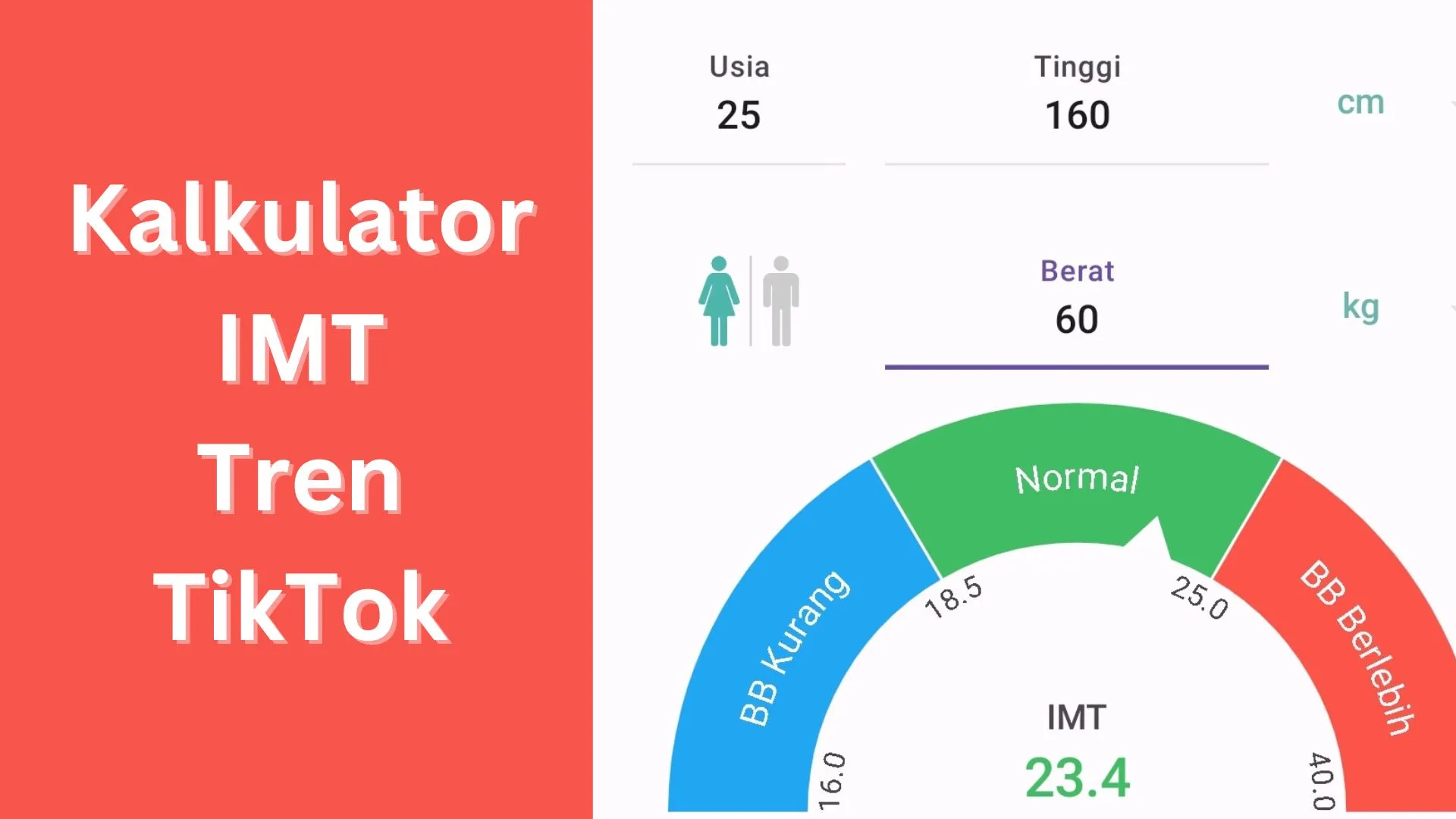 Kalkulator IMT Tren TikTok, Ini Link dan Cara Hitung Berat Badan Idealmu – jabarekspres.com