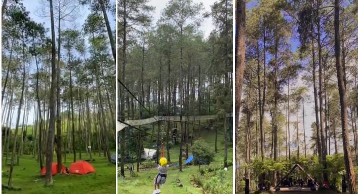 5 Wisata Hutan Pinus Terbaik di Bandung, Ciptakan Momen Indah dan Foto ...