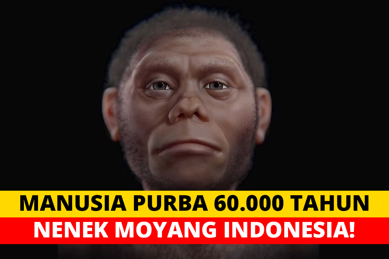Manusia Purba 60.000 Tahun Ditemukan di Indonesia, Mirip Hobbit ...