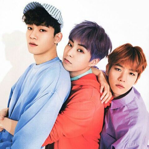 EXO CBX Keluar SM Entertainment? Ini Penjelasannya! – jabarekspres.com