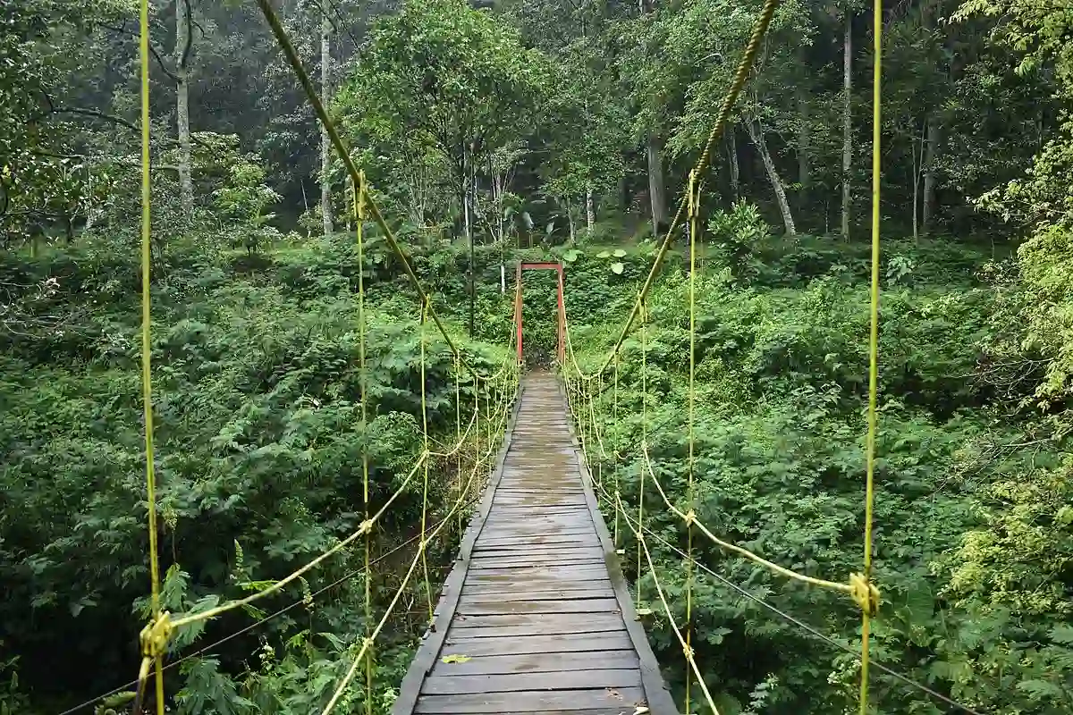 TAHURA Ir. H. Djuanda: Tempat Wisata Bandung dengan Pesona Alam yang ...