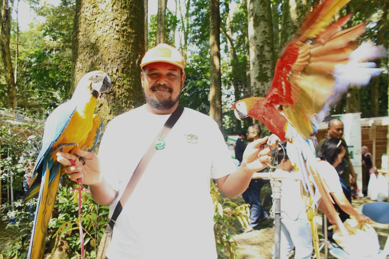 Mengenal Komunitas Free Fly Cimahi, Hadirkan Parrot di Kafe hingga ...