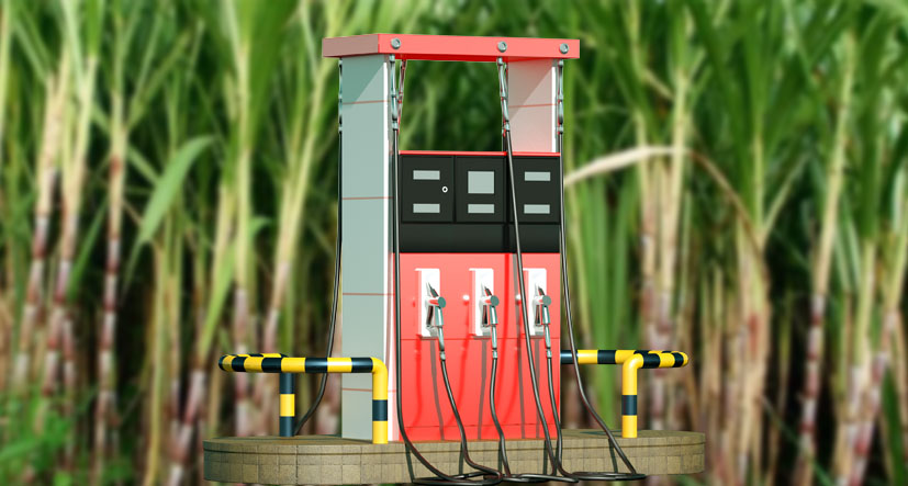 Bocoran Harga Bioetanol, Simak 3 Fakta BBM Berbahan Tebu Ini ...