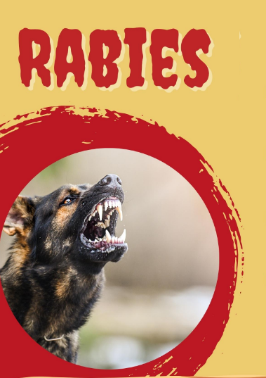 Rabies Menjadi Ancaman Serius!! kenapa orang kena rabies takut air dan ...