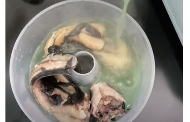 Viral Pembuatan Puding Lele, Netizen Ikutan Latah Bikin Pizza Hingga ...