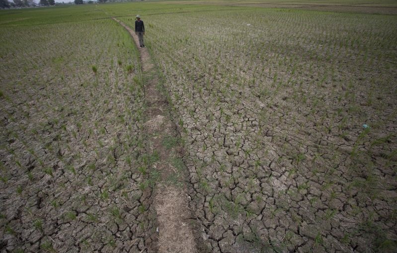 Fenomena El Nino dan Indian Ocean Dipole (IOD) Ancam Petani Gagal Panen ...