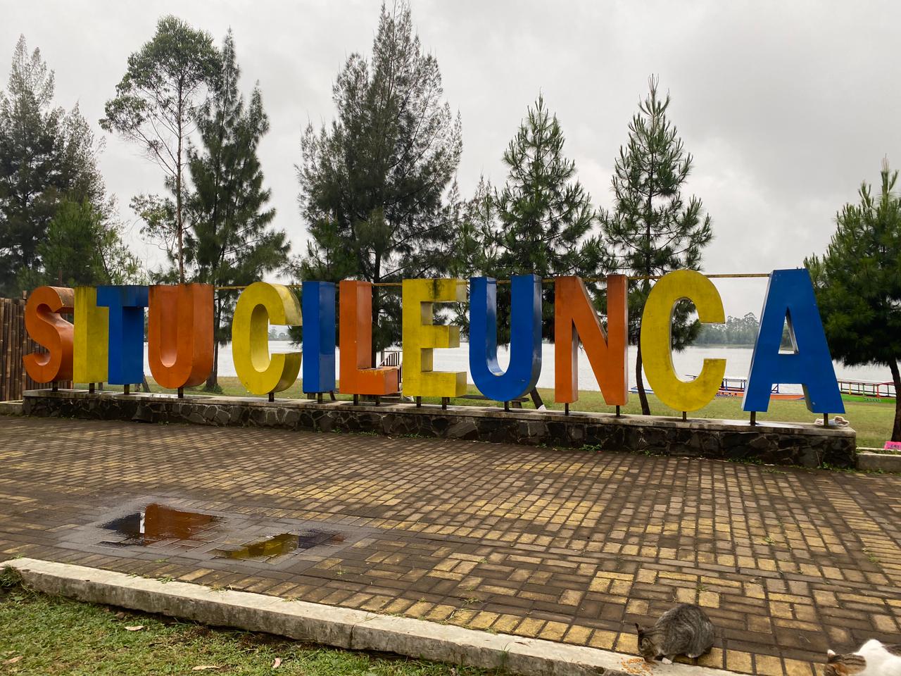 Situ Cileunca Pangalengan, Keindahan Danau Buatan yang Tiada Tara ...