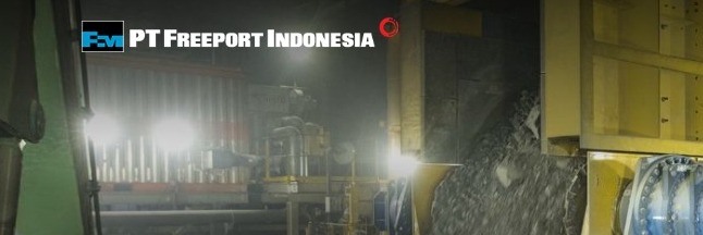 PT Freeport Breaks World Record for Red and White Flag Unfurling ...