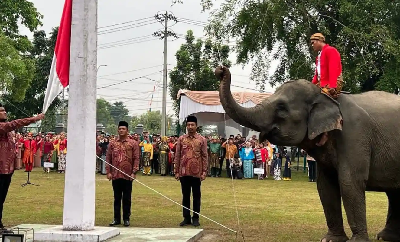 Momen Mengesankan 3 Ekor Gajah Turut Serta dalam Pengibaran Bendera ...