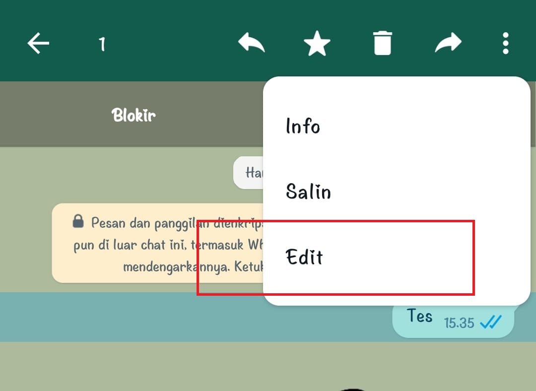Lebih dari 15 Menit, Bisakah Pakai Fitur Edit Pesan WhatsApp? – jabarekspres.com