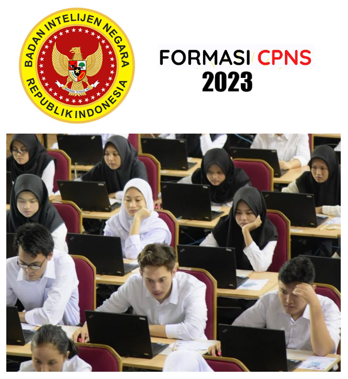 Panduan Lengkap Formasi BIN CPNS 2023 – jabarekspres.com
