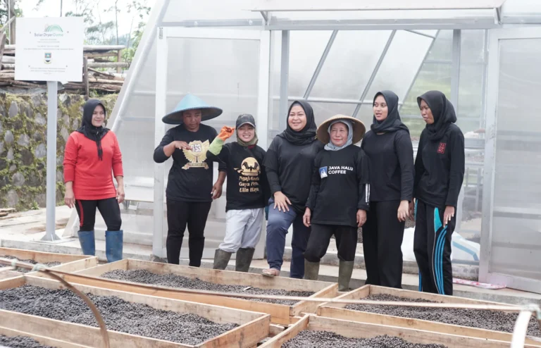 Seni Panen Berkelanjutan di Kebun Kopi Java Halu – Laman 2 ...