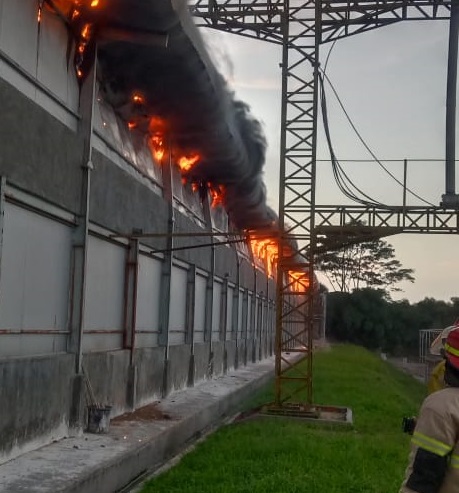 Dugaan Korsleting Listrik, Peternakan Ayam di Nagrak Sukabumi Alami Kebakaran hingga Telan ...