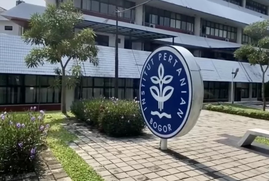 Jurusan di IPB Lengkap Prediksi Nilai Rata-Rata Rapor SNBP 2024, Nilai ...