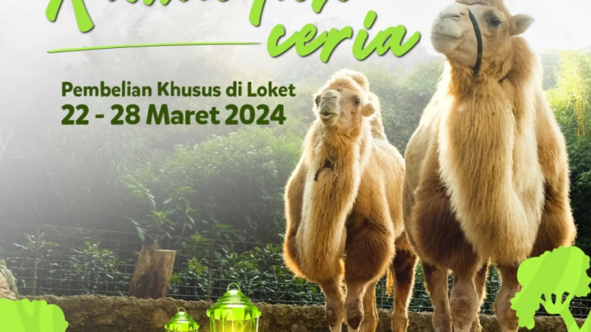 Promo Ramadan Ceria: Masuk Taman Safari Bogor Hanya Rp250 Ribu, Gratis Kulineran dan Buka ...