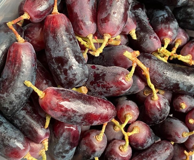 Miliki Bentuk yang Panjang, Ketahui Kandungan & Manfaat Anggur Sweet ...