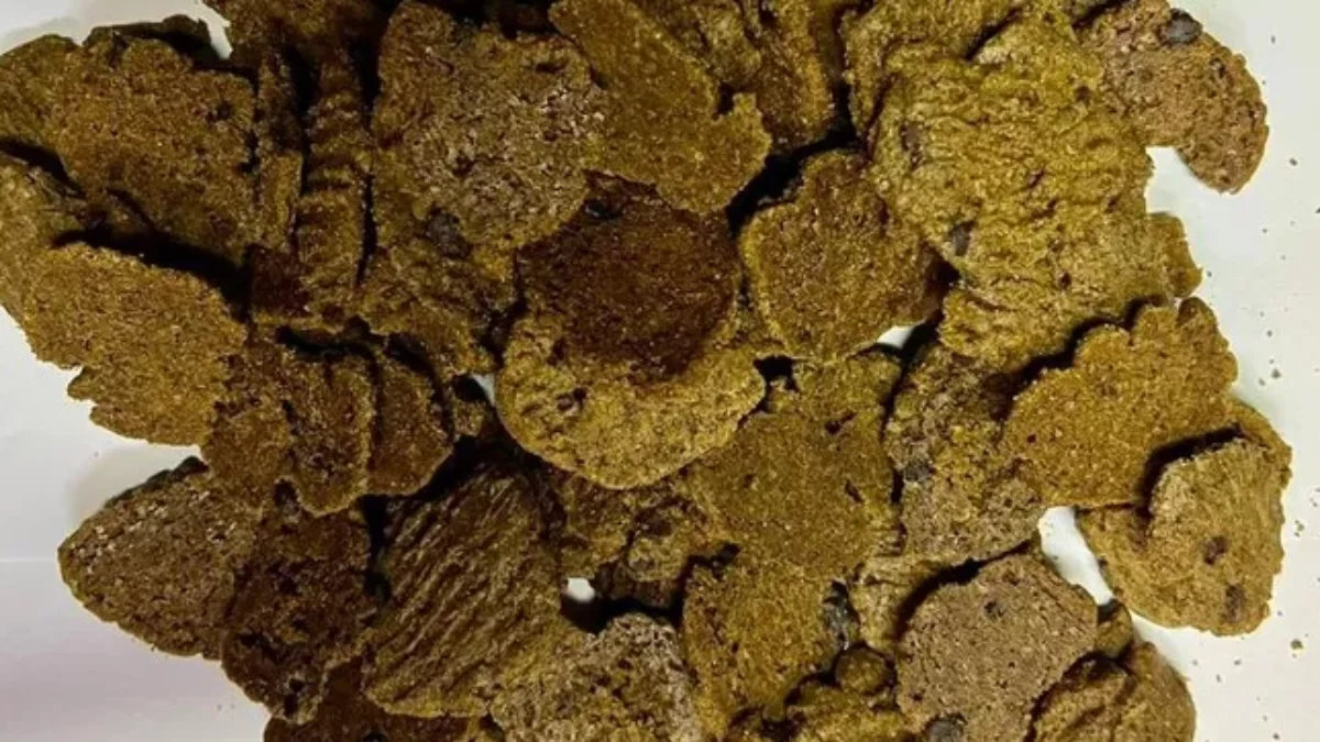 Polisi Bongkar Industri Rumahan Produksi Kue Ganja Mirip Choco Chips di ...