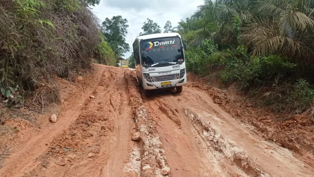 Slogan Indonesia Maju Tapi Anggaran Kemenhub Dipangkas, Pengamat: Transportasi Publik Alami ...