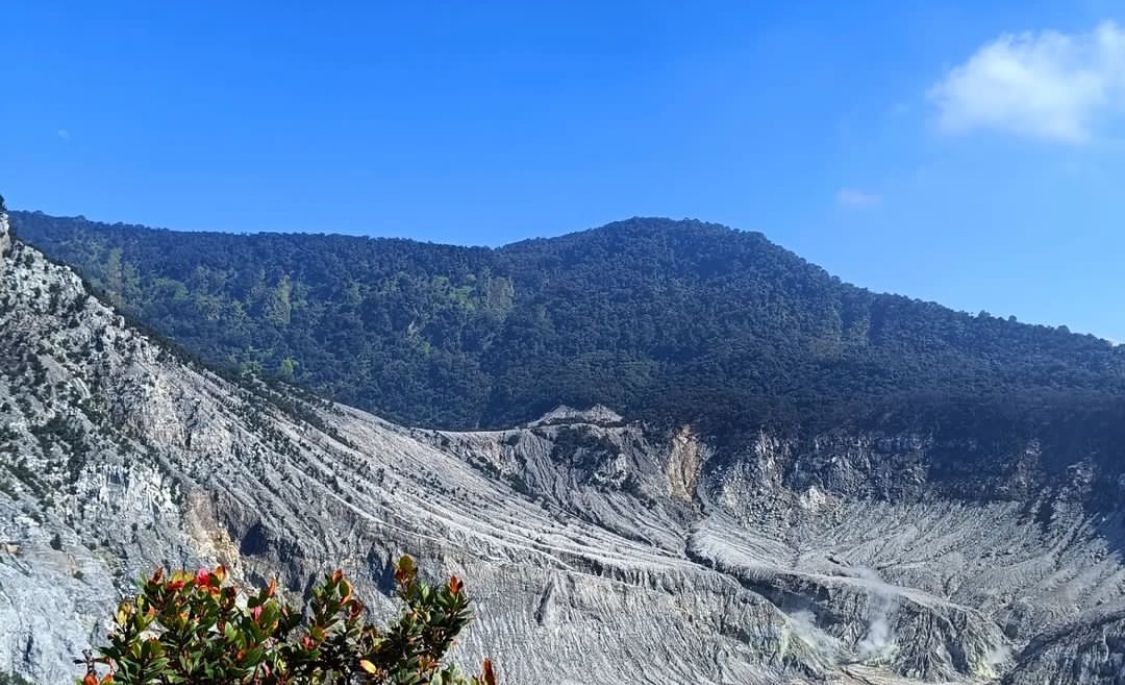 Turun Hujan, Kebakaran Hutan Gunung Tangkuban Parahu Akhirnya Padam ...