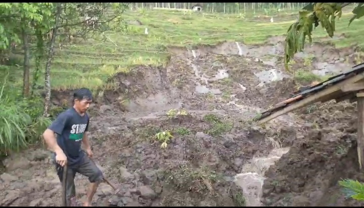 Longsor Terjang Lahan Pertanian di Paseh Bandung, 4 Rumah Terdampak dan ...