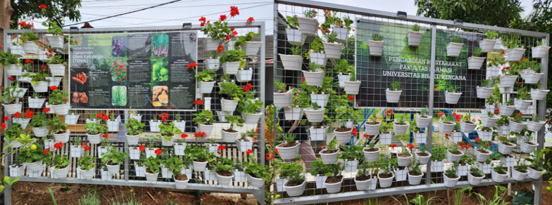 Sukses Mengelola Lahan Tidur Jadi Taman TOGA Vertikal: Upaya Cerdas ...