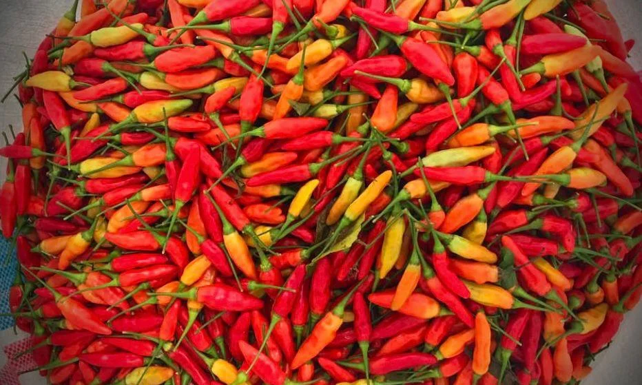 Jelang Idulfitri, Harga Cabai Rawit di Pasar Banjar Makin Pedas! – jabarekspres.com