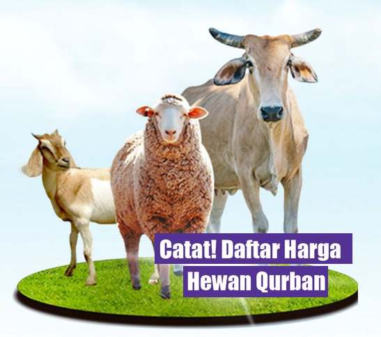 Cek Harga Terbaru Hewan Kambing, Domba, dan Sapi Kurban di Bandung Hari Ini – jabarekspres.com