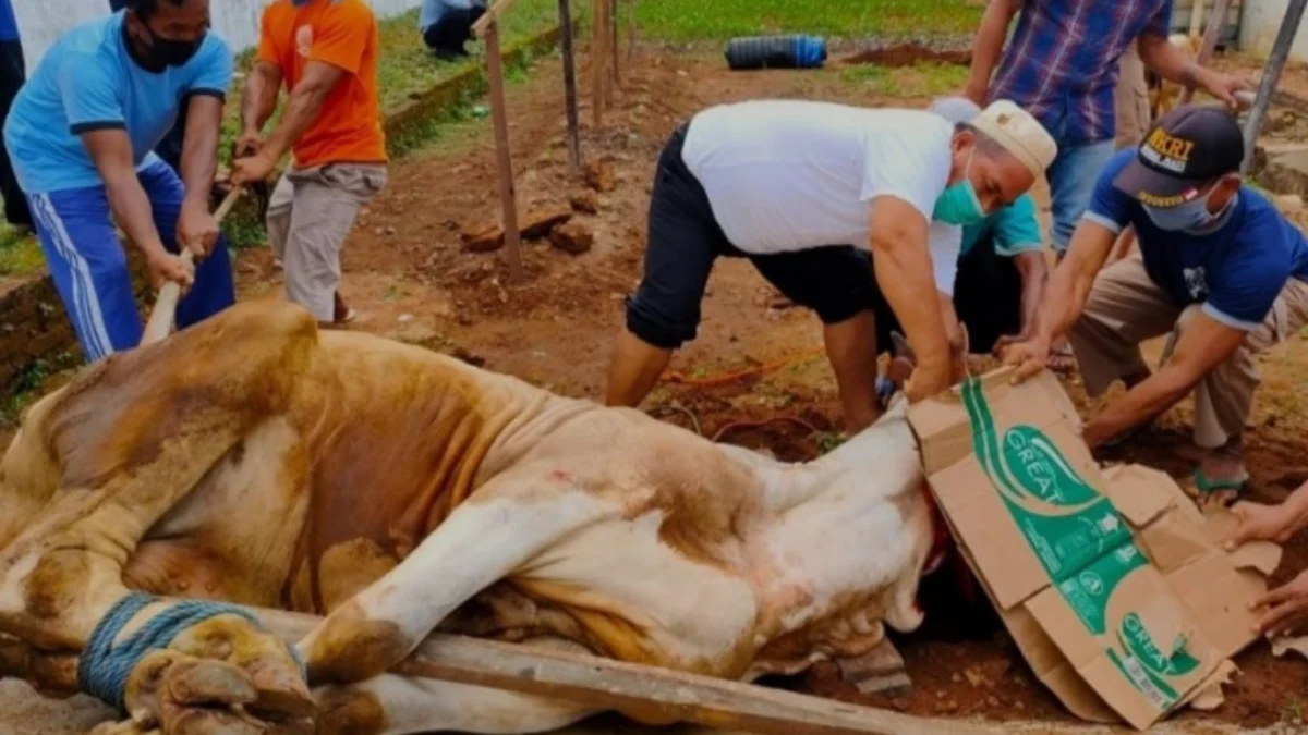 Naskah Khutbah Jumat Menjelang Idul Adha Tentang Keutamaan Berqurban ...
