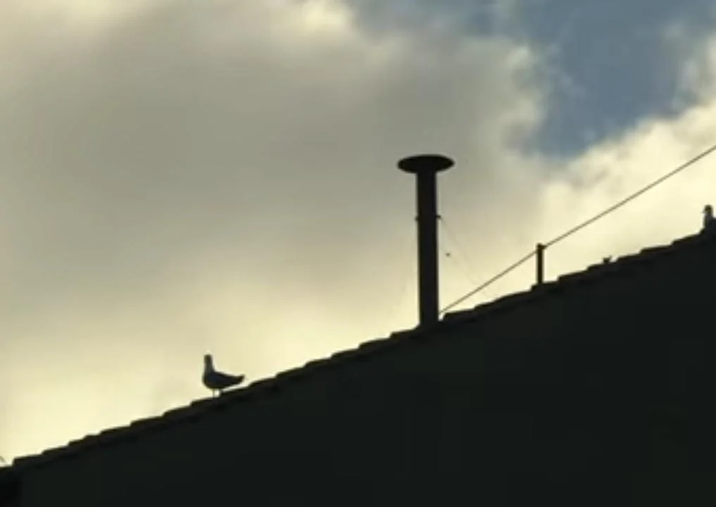 Asap Hitam dari Kapel Sistina Isyaratkan Belum Terpilihnya Paus Baru di ...