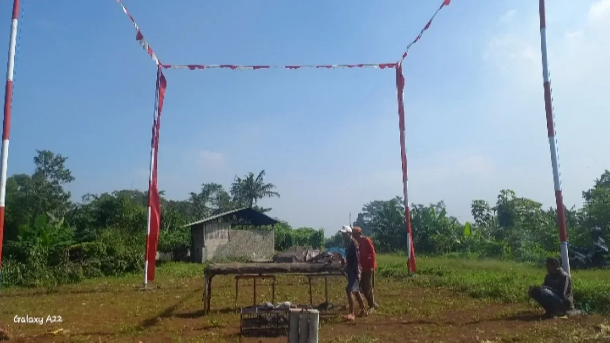 Rasakan Sensasi Melatih Merpati di Lapak Baru CMD Linggar ...