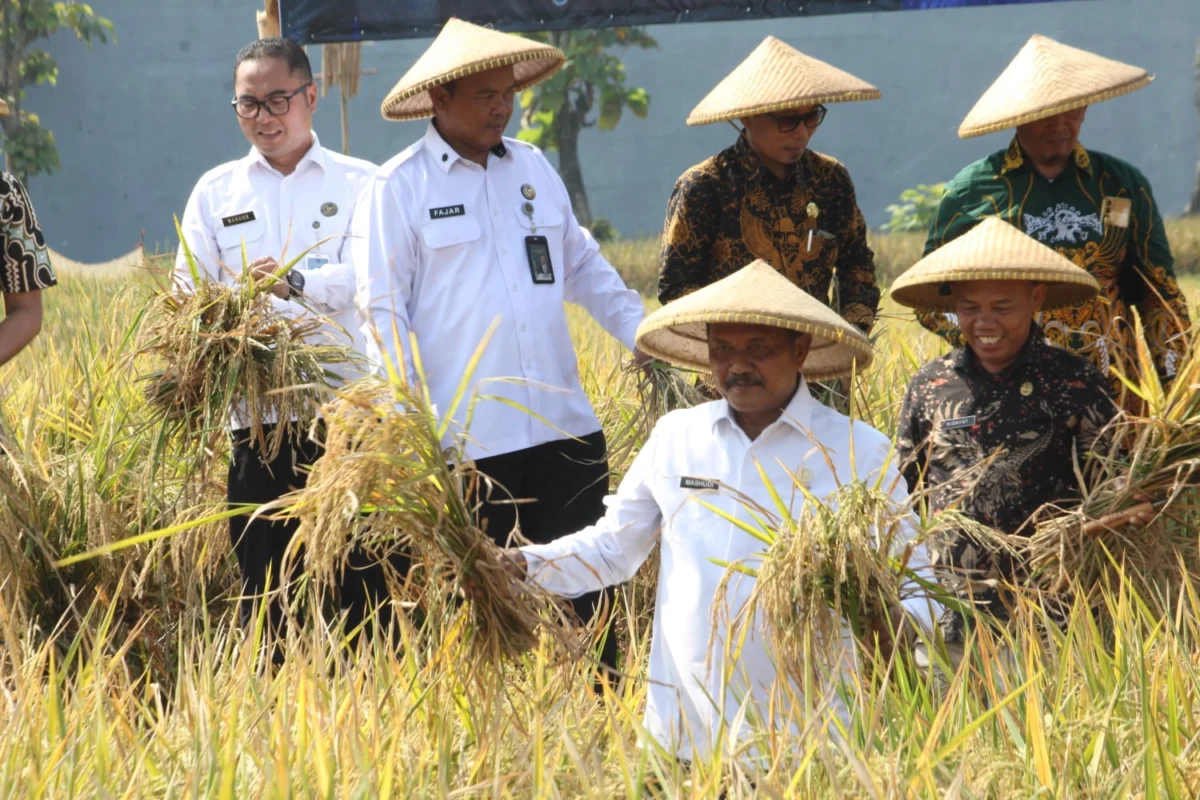 Lapas Subang Panen 12 Ton Gabah – jabarekspres.com
