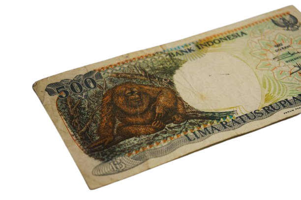 Uang Kertas Rp 500 Tahun 1991 Jadi Buruan Kolektor, Harganya Fantastis ...