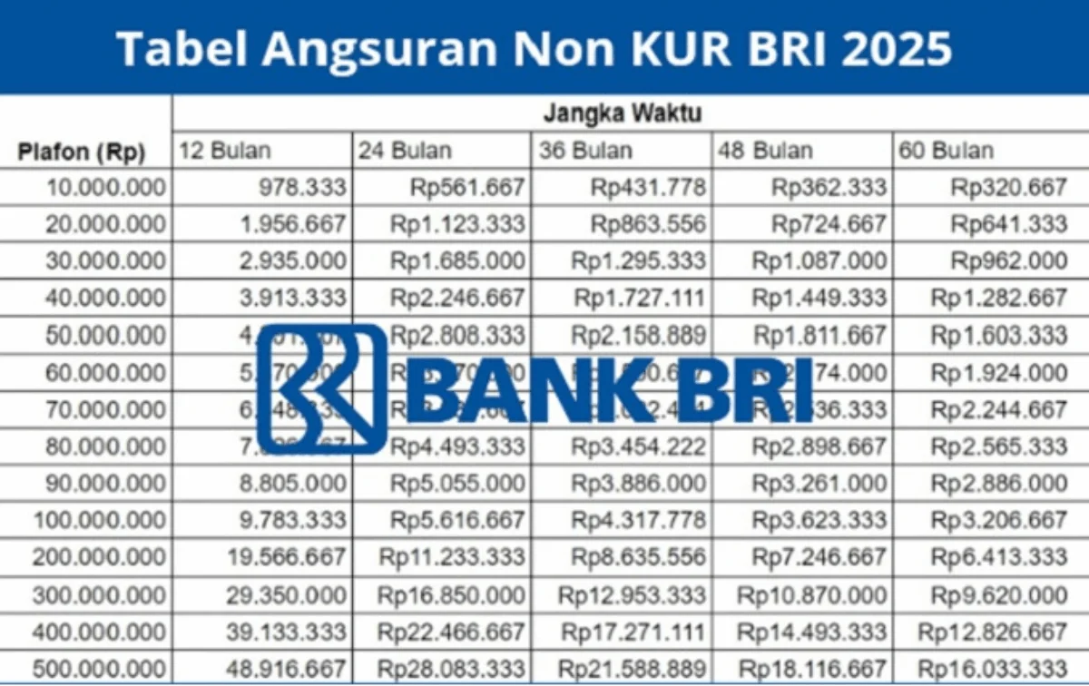 Inilah Skema dan Simulasi KUR BRI 2025 Pinjaman Rp 200 Juta Tenor 5 Tahun, Begini Cara Ajukannya ...