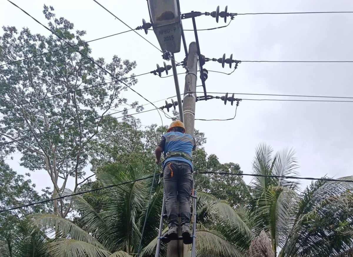 Perkuat Kolaborasi, PLN Icon Plus Intensifkan Penataan Jaringan Fiber ...