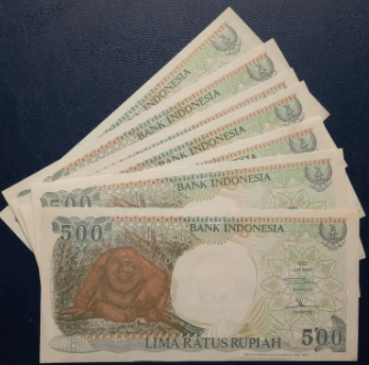 Harganya Capai Rp25 Juta per Lembar! Uang Kuno Rp 500 Gambar Orang Utan ...