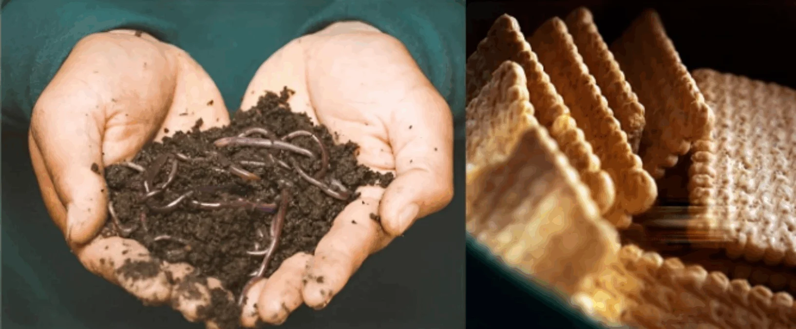 15 Teka Teki Makanan MPLS 2025: Cacing Goreng, Air Tambang, Teh Band ...