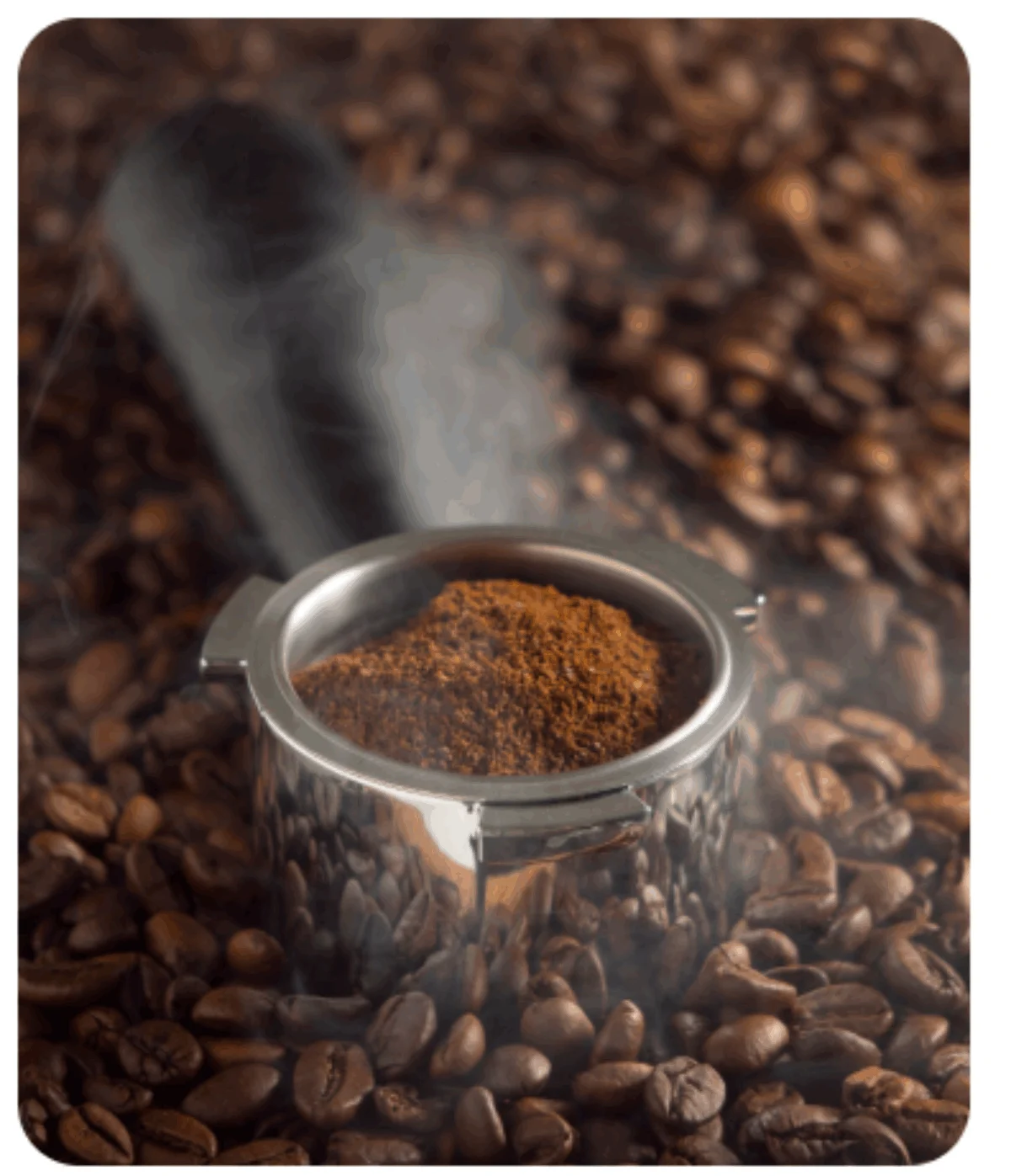 Ini 5 Kopi Luwak Premium yang Lebih Ramah untuk Lambung – jabarekspres.com