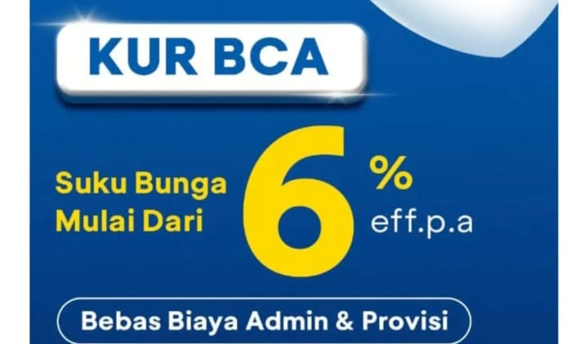 Update Tabel Angsuran KUR BCA September 2025: Pinjaman Mulai Rp100 Juta Hingga Rp500 Juta ...